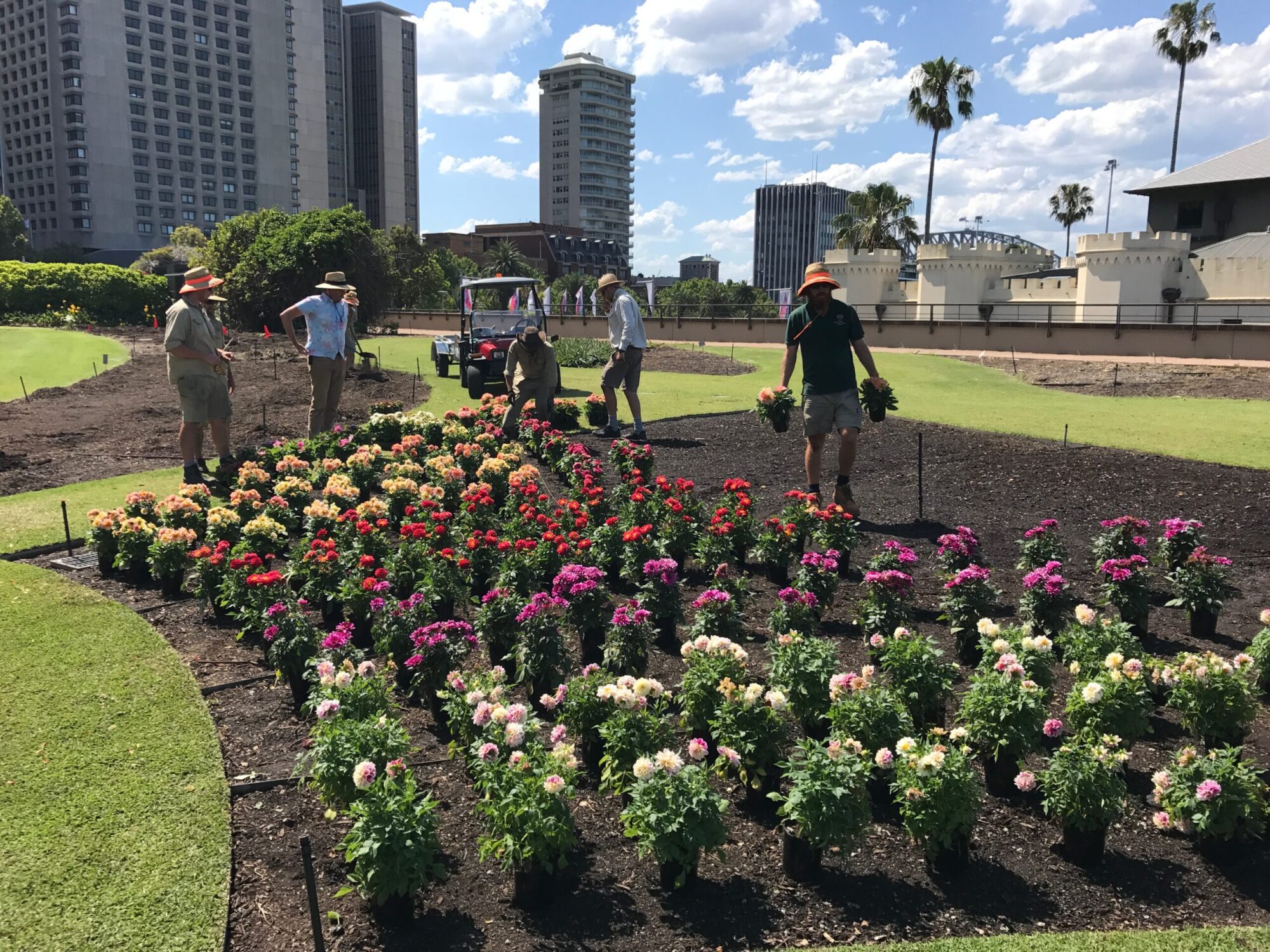 Hort Journal Australia - Innovative Communication in Horticulture